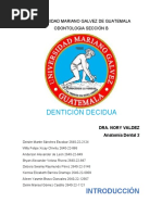 Rizólisis Dental: Proceso y Fisiología | PDF | Hueso | Inflamación