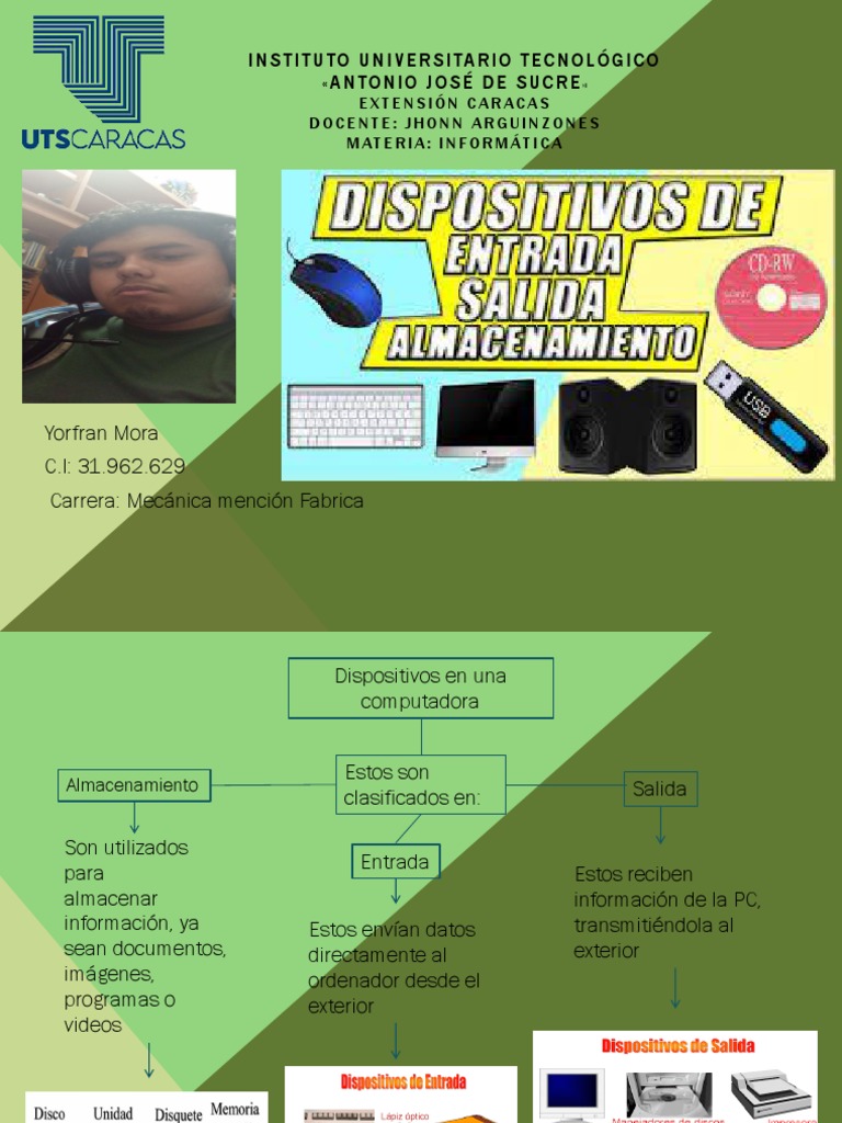 Mapa Conceptual Dispositivos de Entrada y Salida | PDF