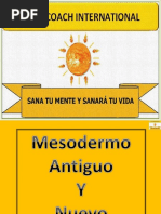 Curso de Biodescodificación: Mesodermo Antiguo y Lateralidad Biológica ...