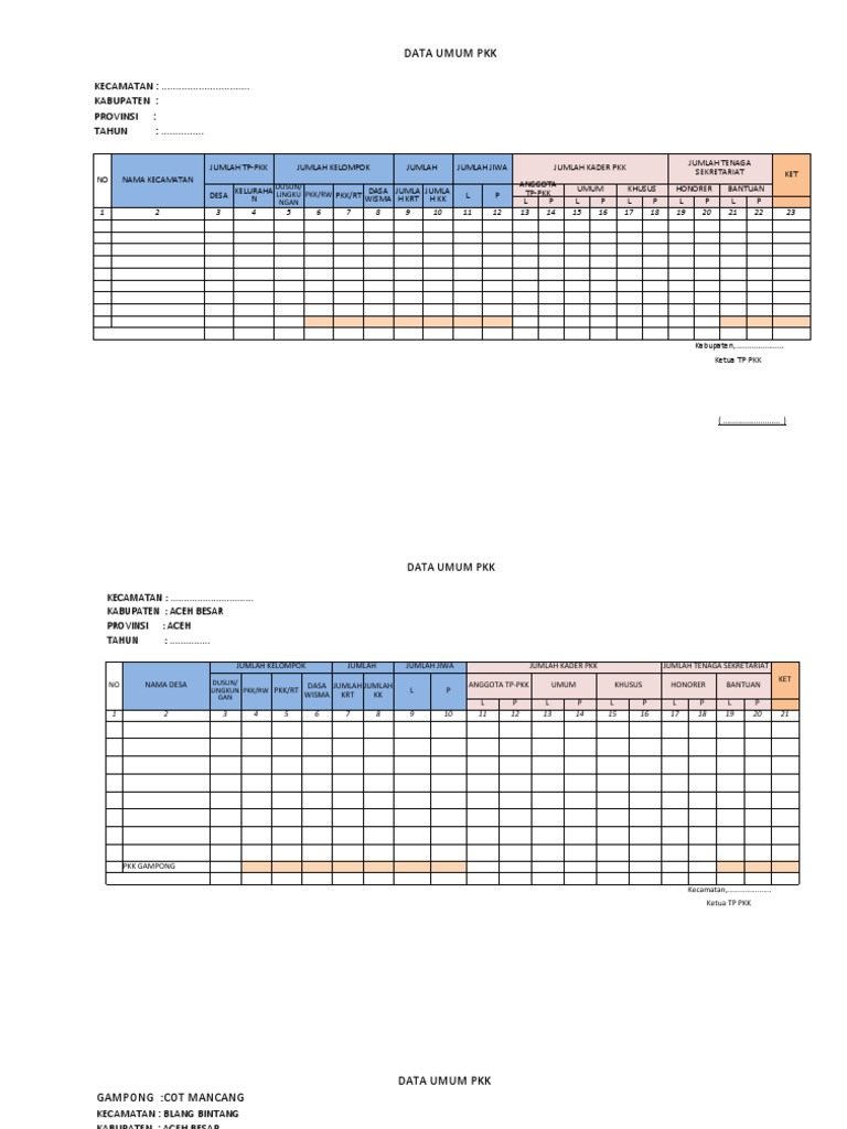 Data Umum PKK | PDF