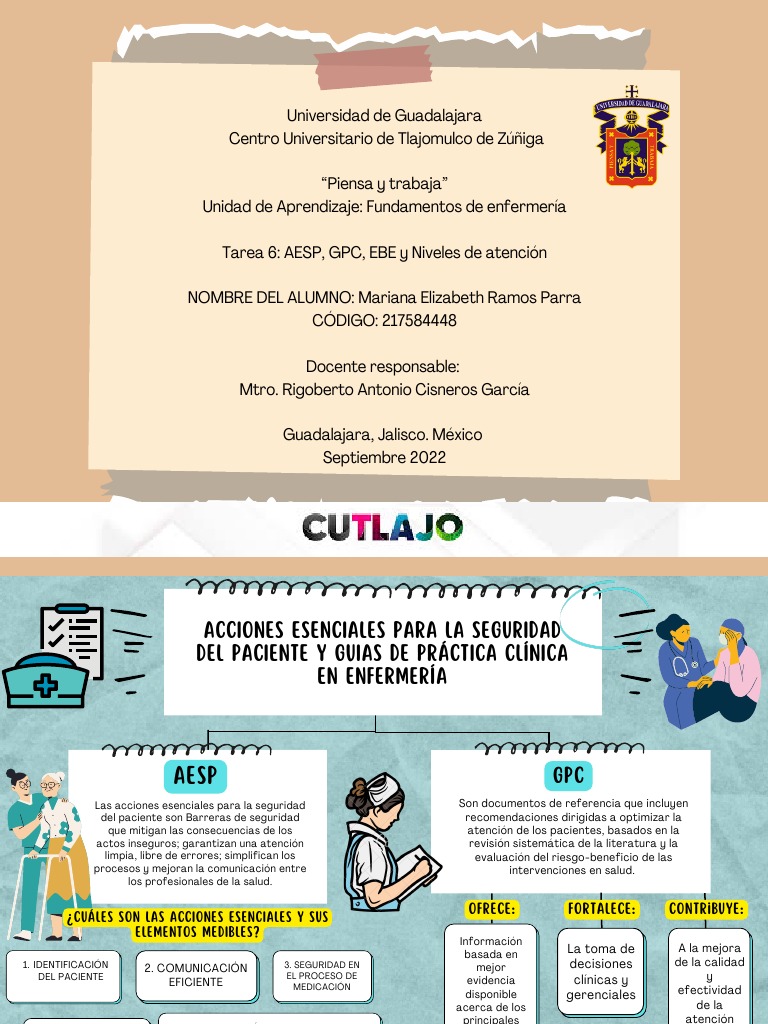 Aesp, GPC, Ebe y Niveles Te Atención | PDF | Enfermería | Especialidades Medicas