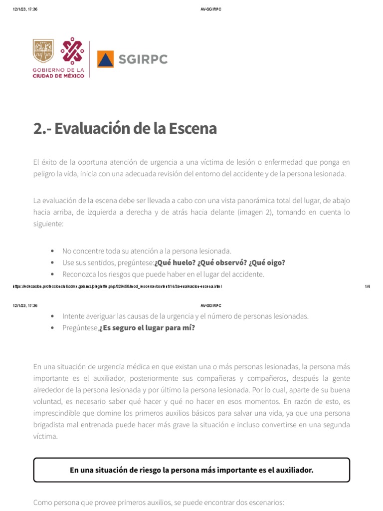 Evaluacion de La Escena | PDF | Primeros auxilios Evaluacion de La Escena | PDF | Primeros auxilios