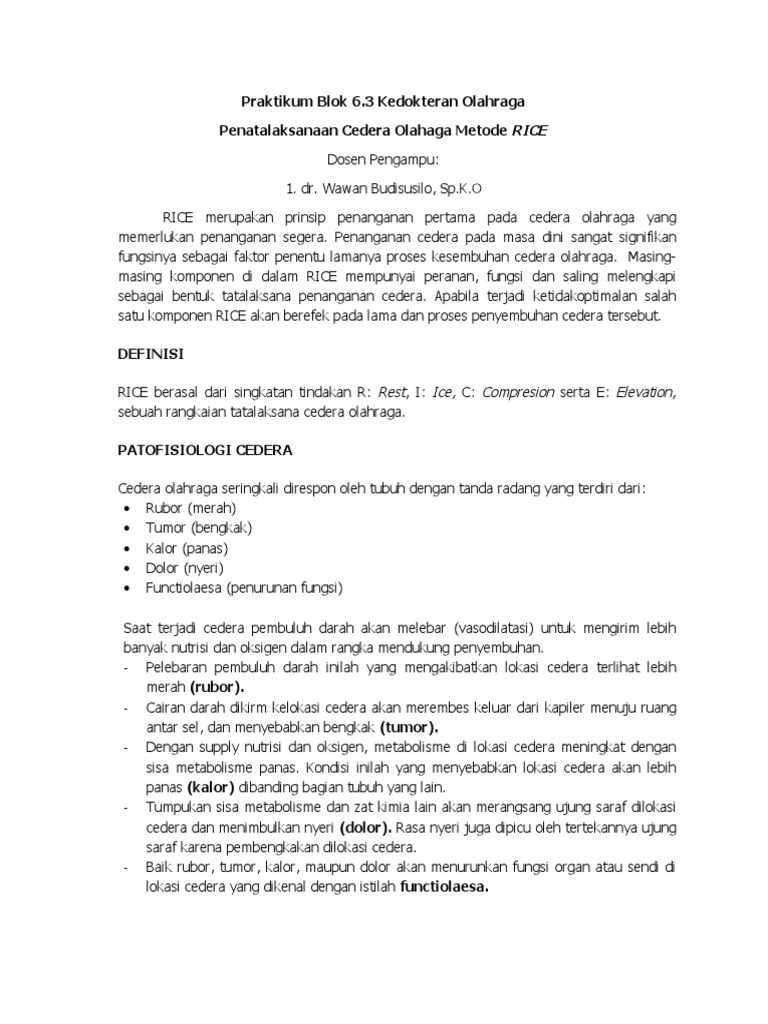 63 Praktikum Penatalaksanaan Cedera Metode RICE | PDF