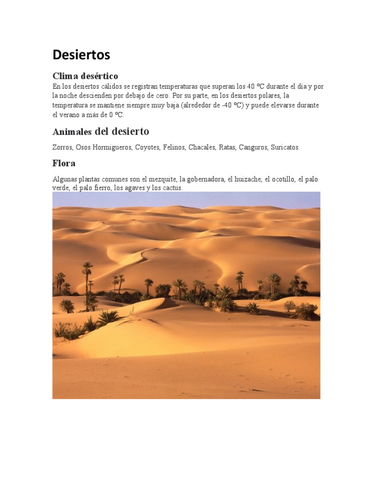 Desierto S | PDF