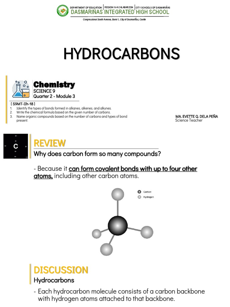 Hydrocarbons and Functional Groups | PDF | Alkene | Alkane