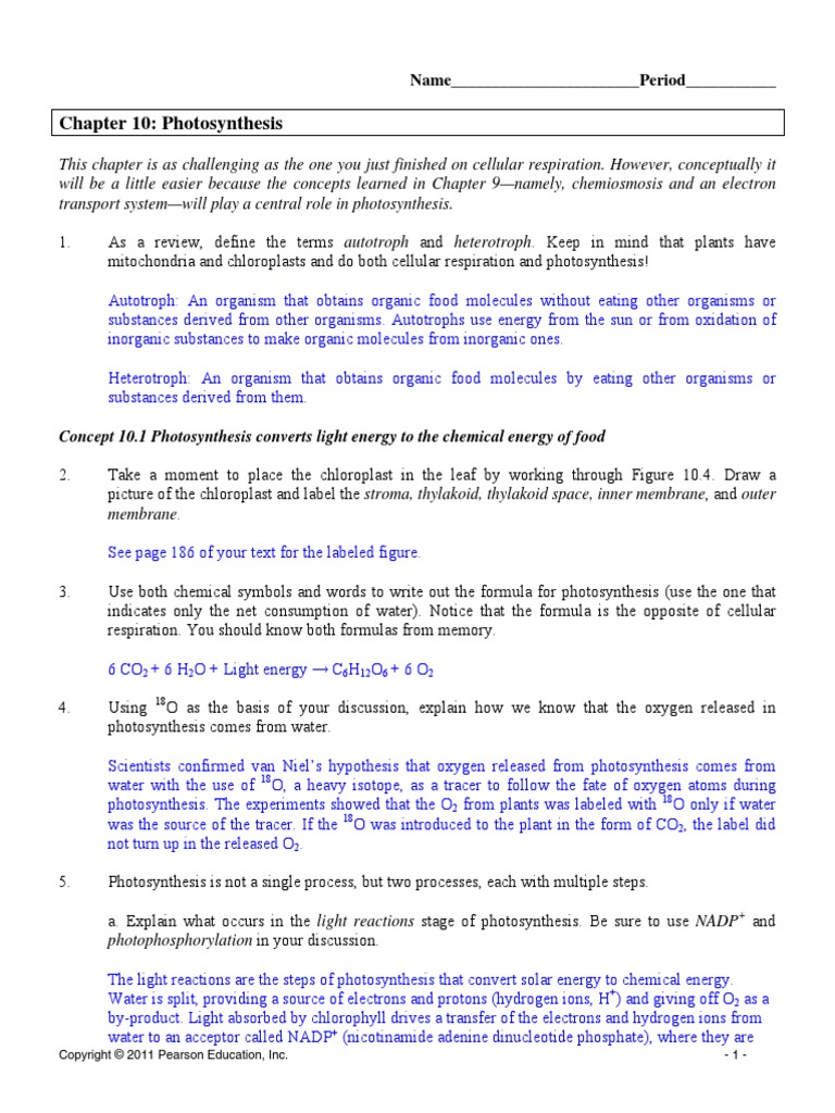 Chapter 10 - Photosynthesis (Ap Biology) Study Guide | PDF ...