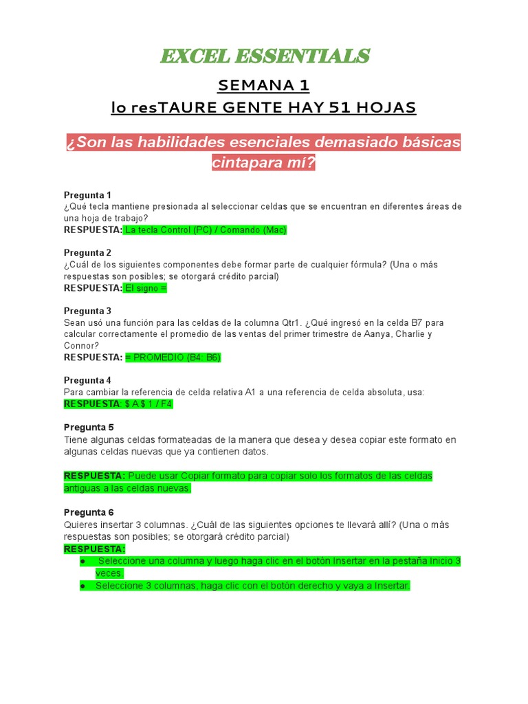 Final Excel | PDF | Microsoft Excel | Hoja de cálculo