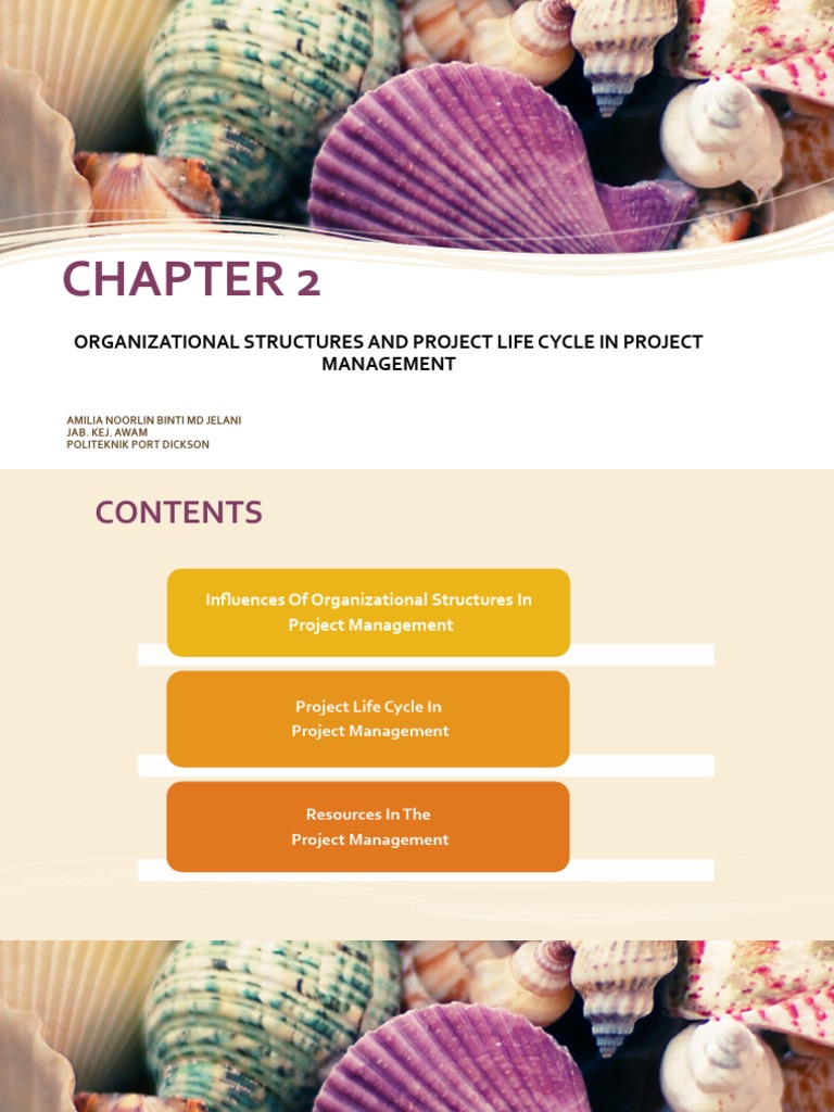 Chapter 2 | PDF | Feasibility Study | Project Management
