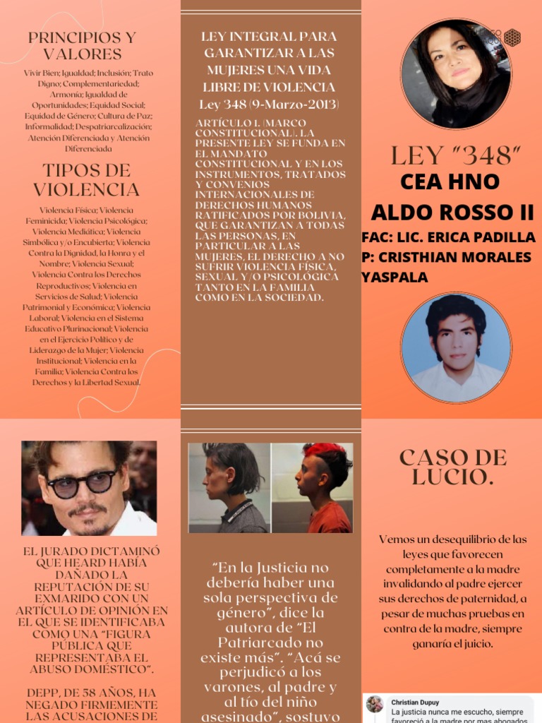 Folleto Tríptico Ley 348 | PDF | Violencia | Estudios de género