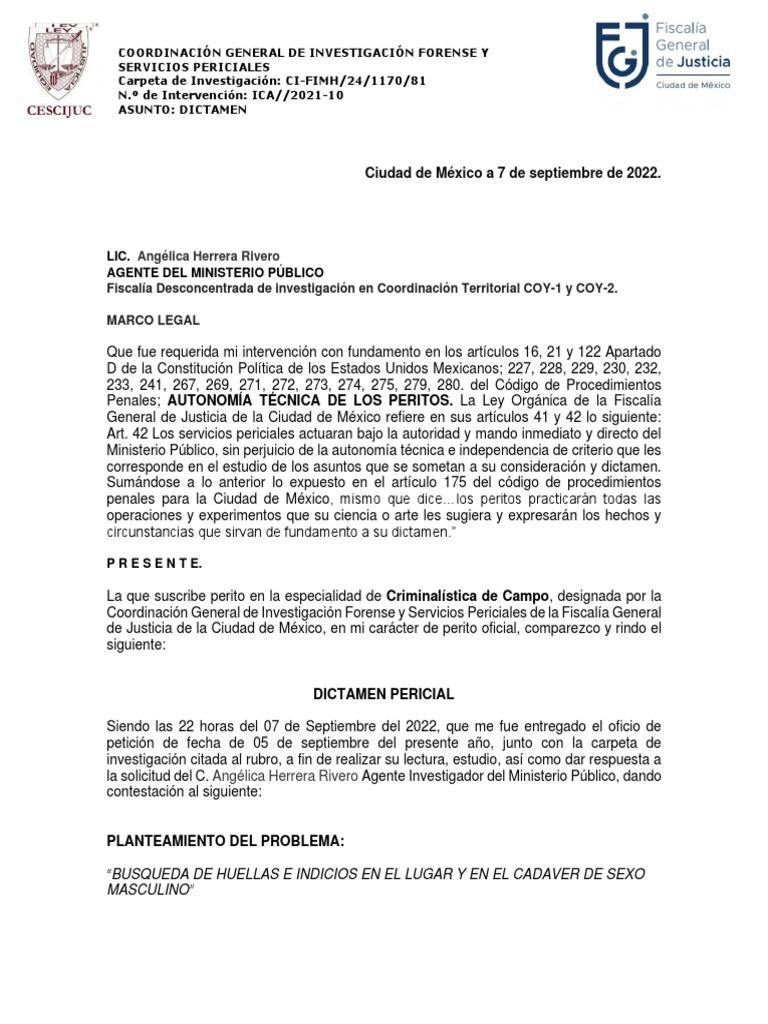 Dictamen Pericial en Investigación Forense | PDF | Balística | Ciencia ...