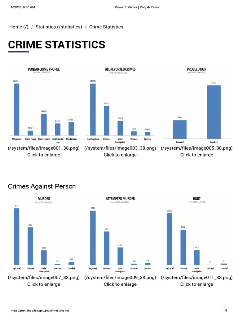 Crime Statistics - Punjab Police | PDF | Misconduct | Public Safety