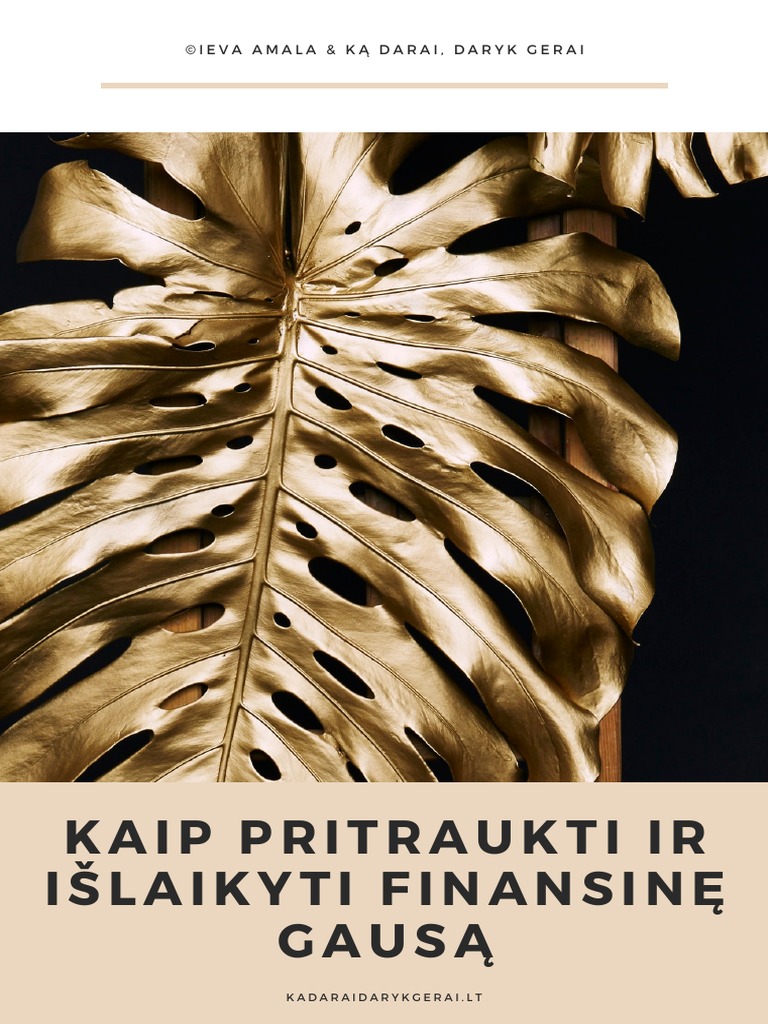 Kaip Pritraukti Finansine Gausa | PDF