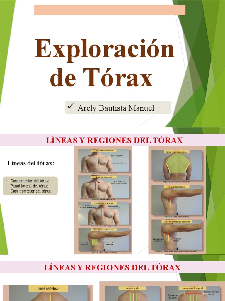 Exploración de Tórax | PDF | Salud y bienestar