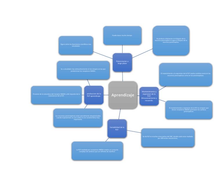Mapa Mental Aprendizaje | Descargar gratis PDF | La potenciación a largo plazo | Sinapsis