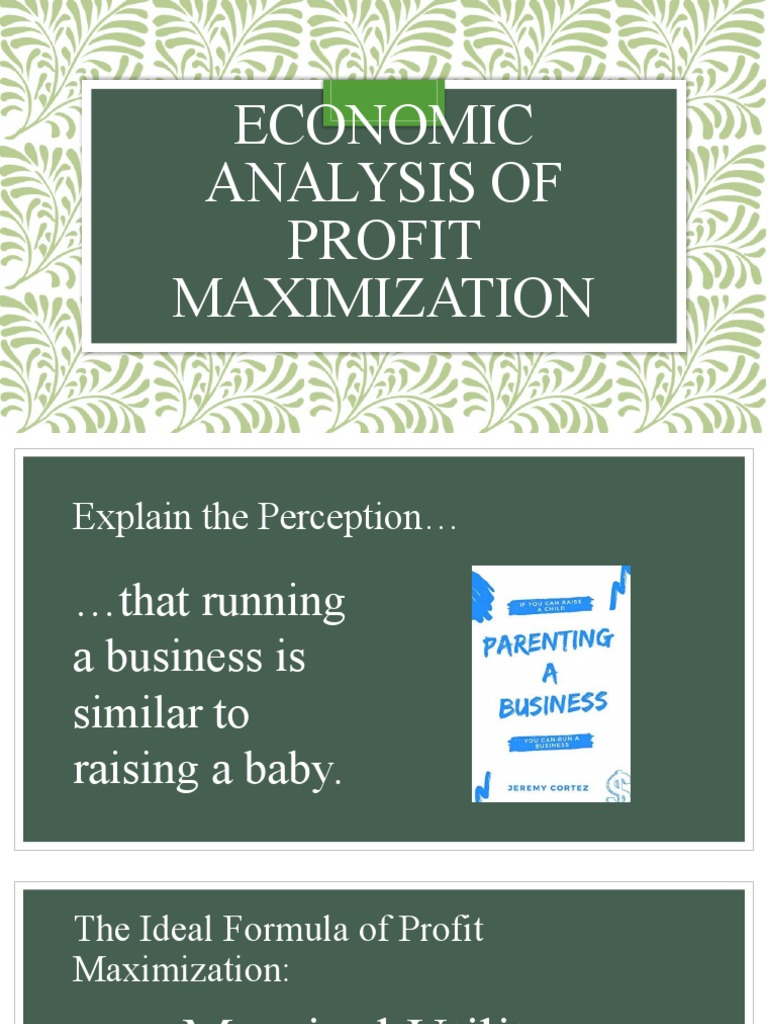 Economic Analysis of Profit Maximization | PDF | Business