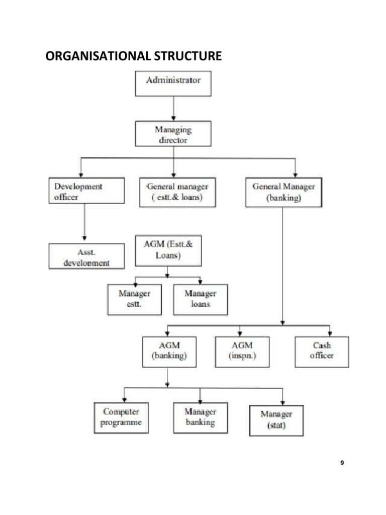 Organisational Structure | PDF