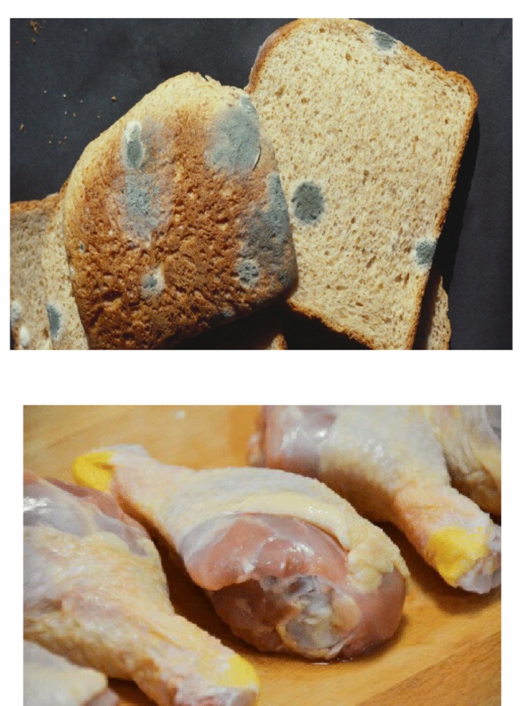 Ciri Makanan Rosak Gambar | PDF