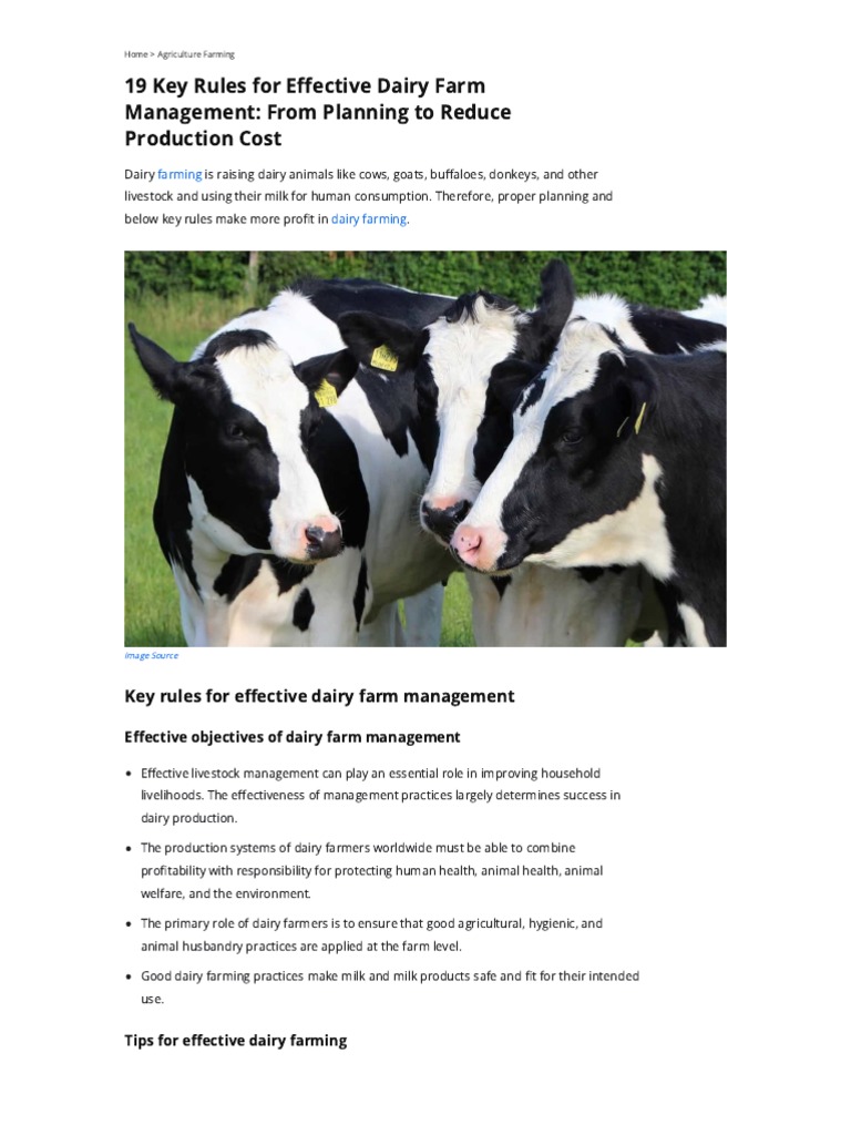 19 Key Rules For Effective Dairy Farm Management - From Planning ...