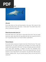 Optical Answer Sheet | PDF