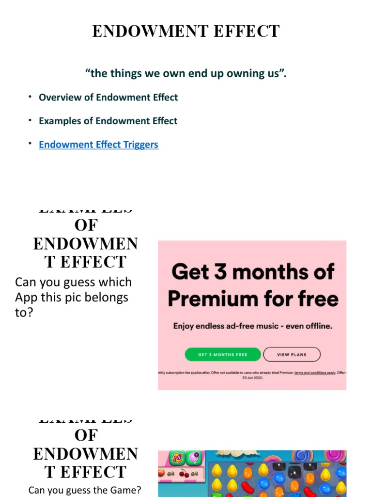 endowment-effect-pdf