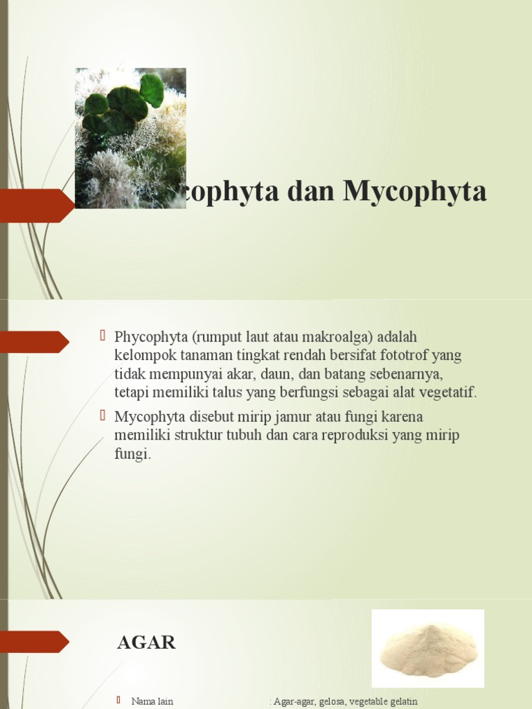 Phycophyta Dan Mycophyta | PDF