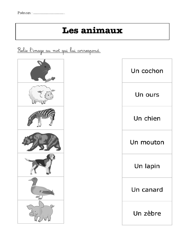 Les Animaux: Exercices | PDF