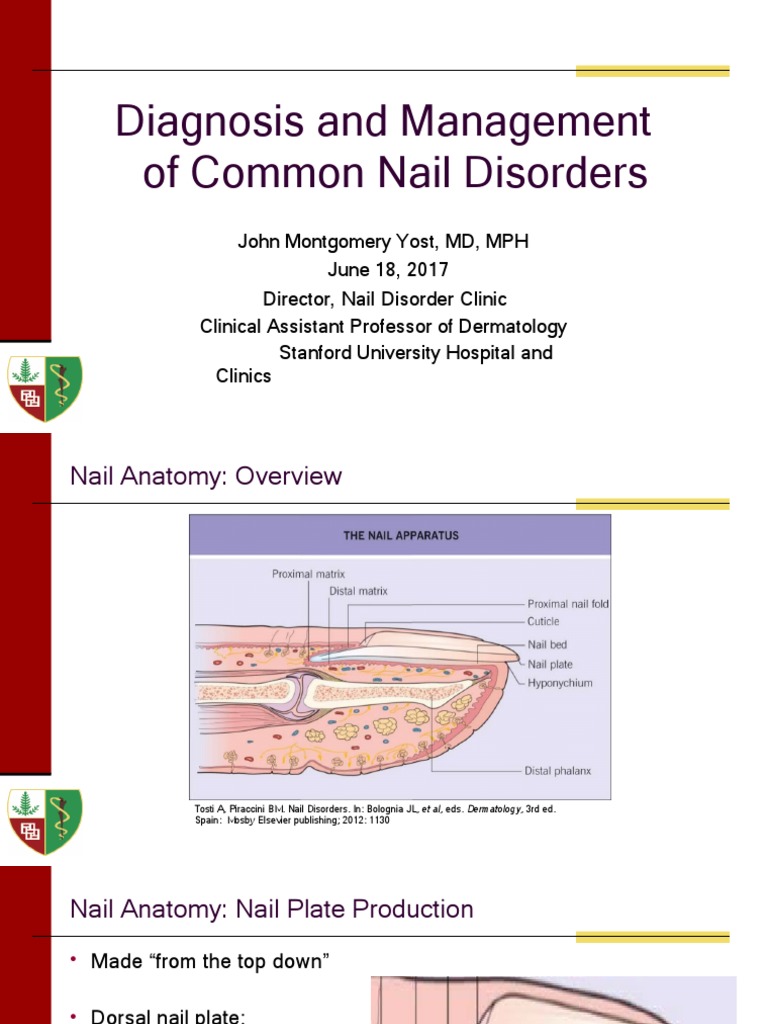 Diagnosis and Management of Common Nail Disorders - Yost | PDF | Nail ...