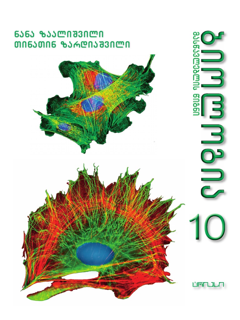 Maswavlebeli 10 | PDF