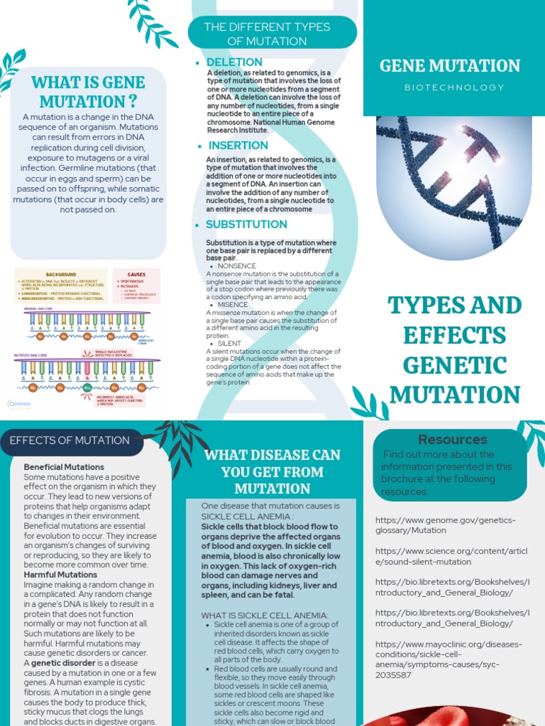 An In-Depth Exploration of the Types and Effects of Genetic Mutations ...