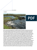 Ocular Inspection Checklist | PDF | Computing