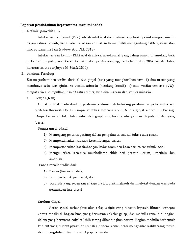 LP Isk Nengsi KMB | PDF