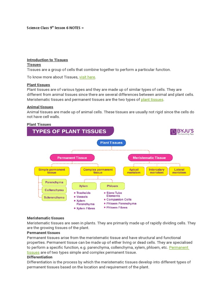 Science Class 9th Lesson 6 NOTES | PDF | Tissue (Biology) | Epithelium