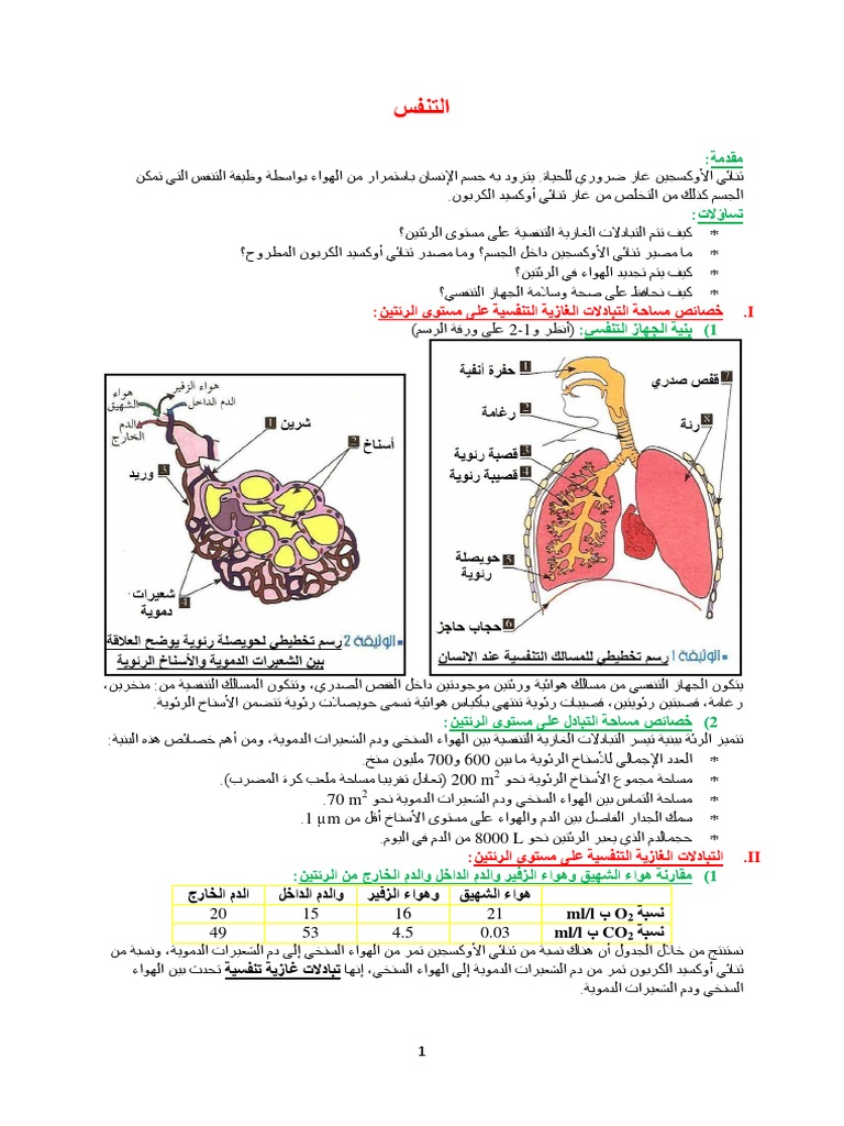Cour La Respiration Chez L Homme 3ere College 3 | PDF