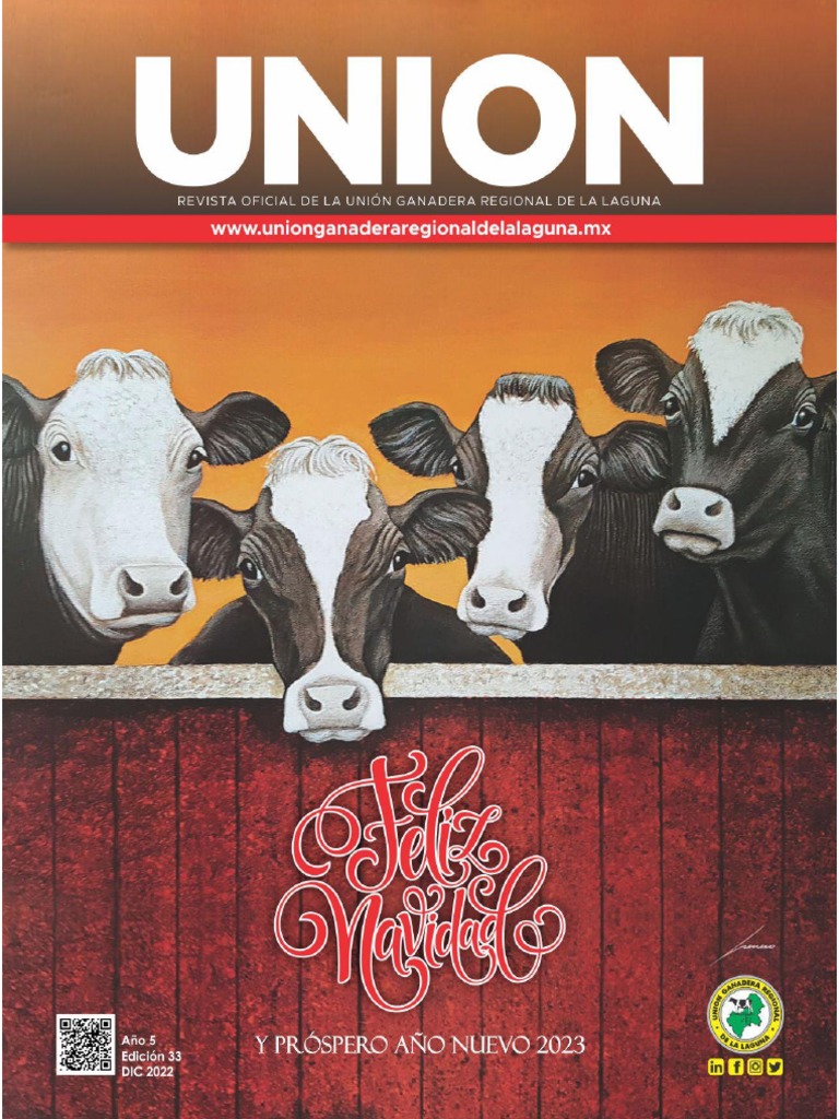 Revista Union Edicion 33 | PDF