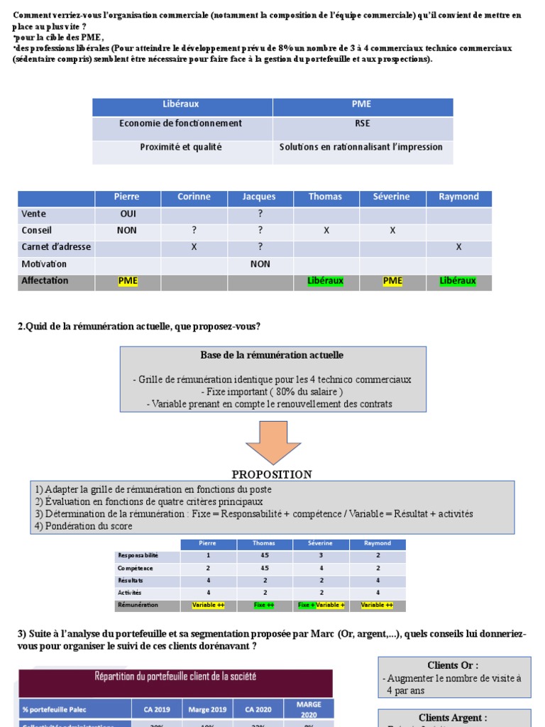 Organisation commerciale et stratégie B2B | PDF | Commercialisation ...