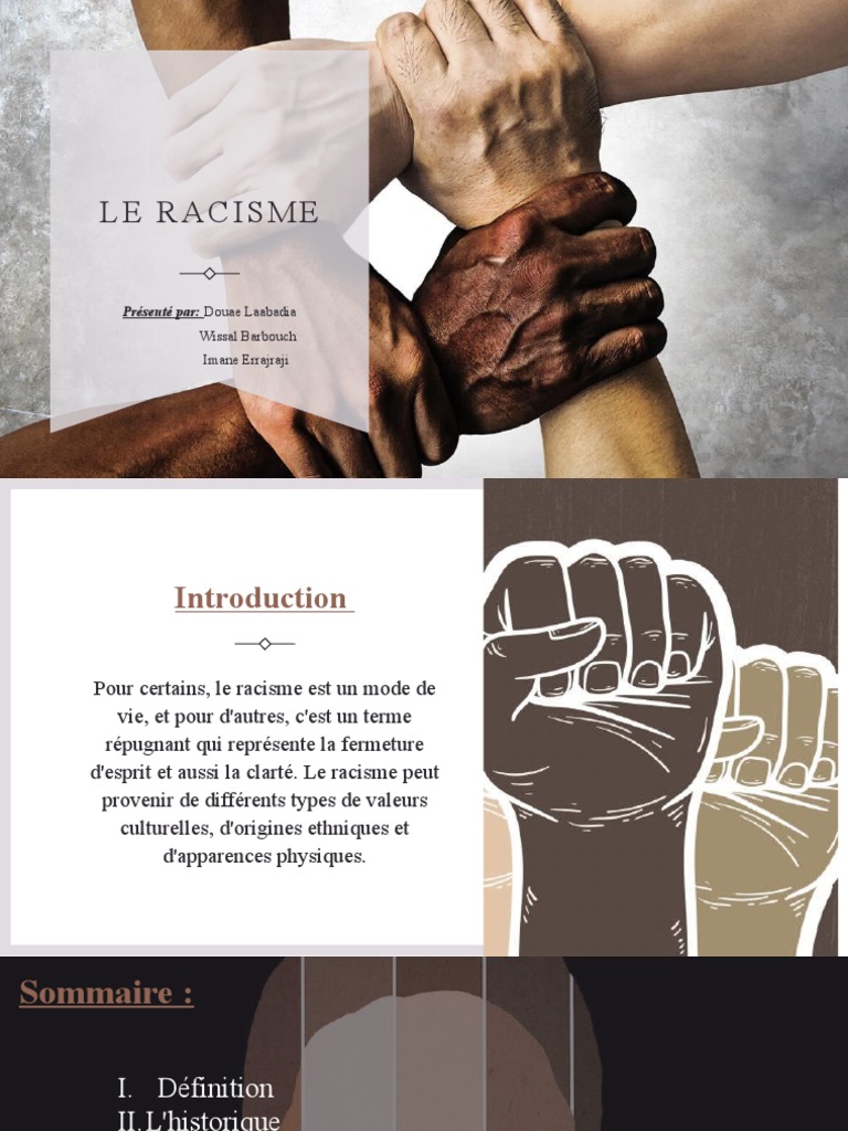 Le Racisme | PDF | Discrimination et relations raciales | Racisme