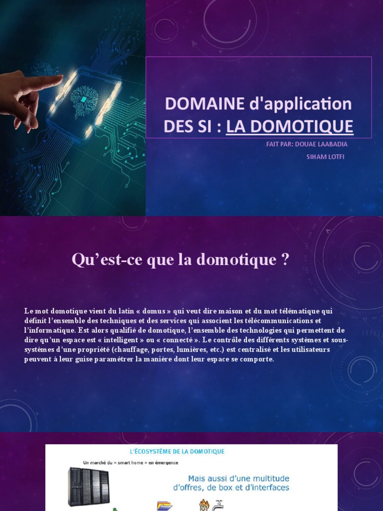 DOMAINE D'application DES SI | PDF | Domotique | Informatique