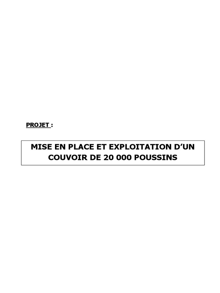 Mise en place d'un couvoir de 20 000 poussins | PDF
