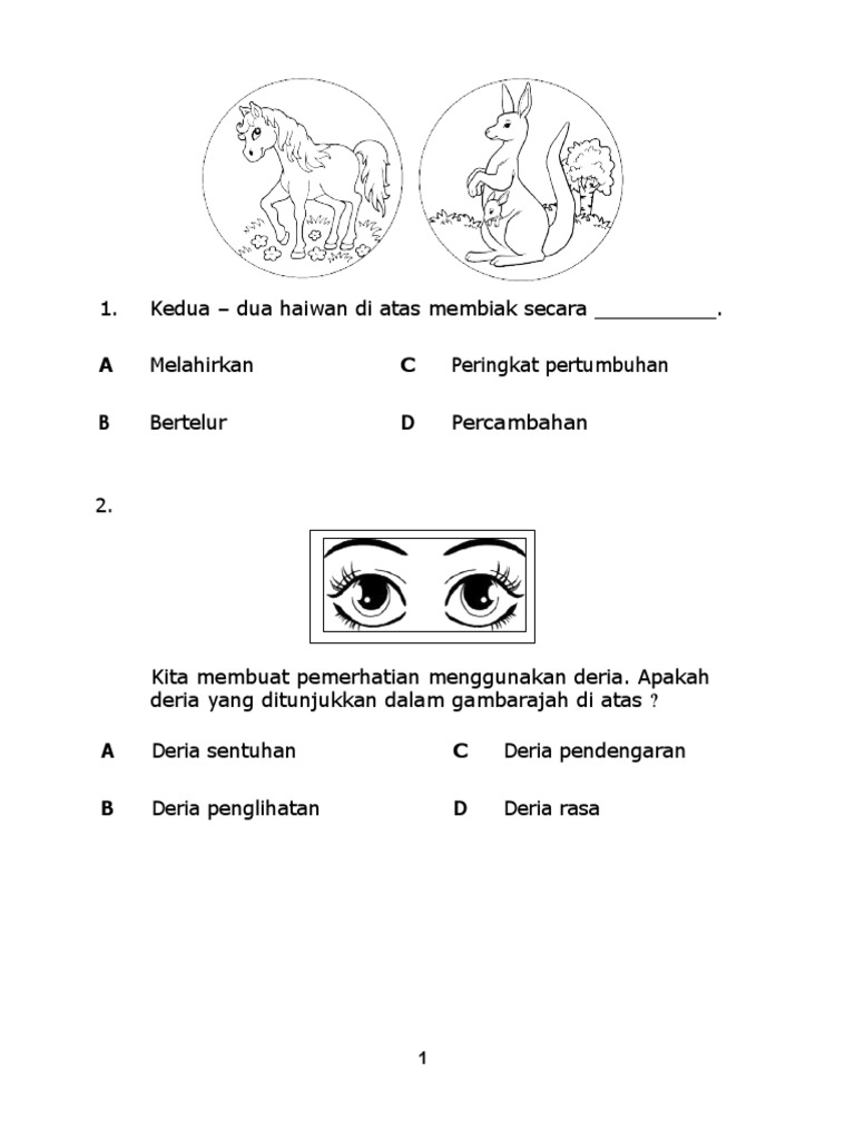 Science Year 2 DLP Sec A | PDF