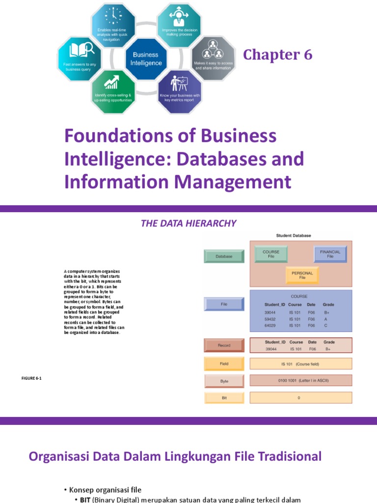 Foundations of Business Intelligence Databases and Information Management | PDF
