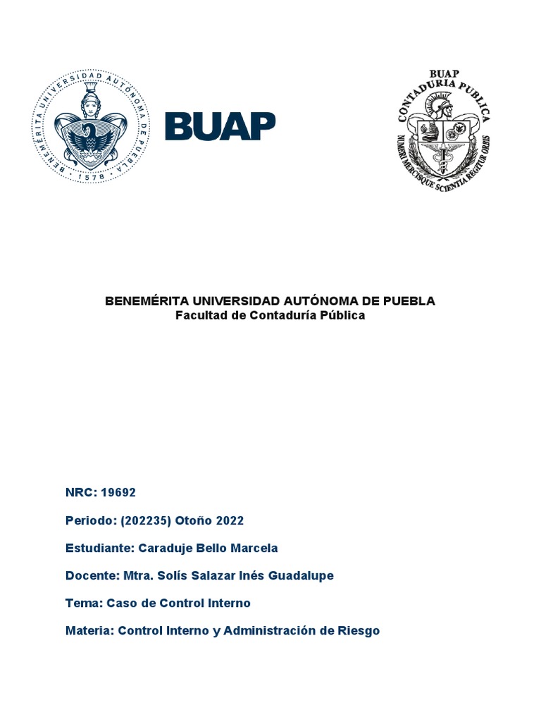 M13 U2 A5 MACB Control Interno | PDF | Usuario (informática) | Gobierno
