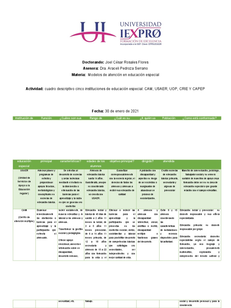 Modelos de Atencion Educacion Especial | PDF | Educación de la primera infancia | Educación especial