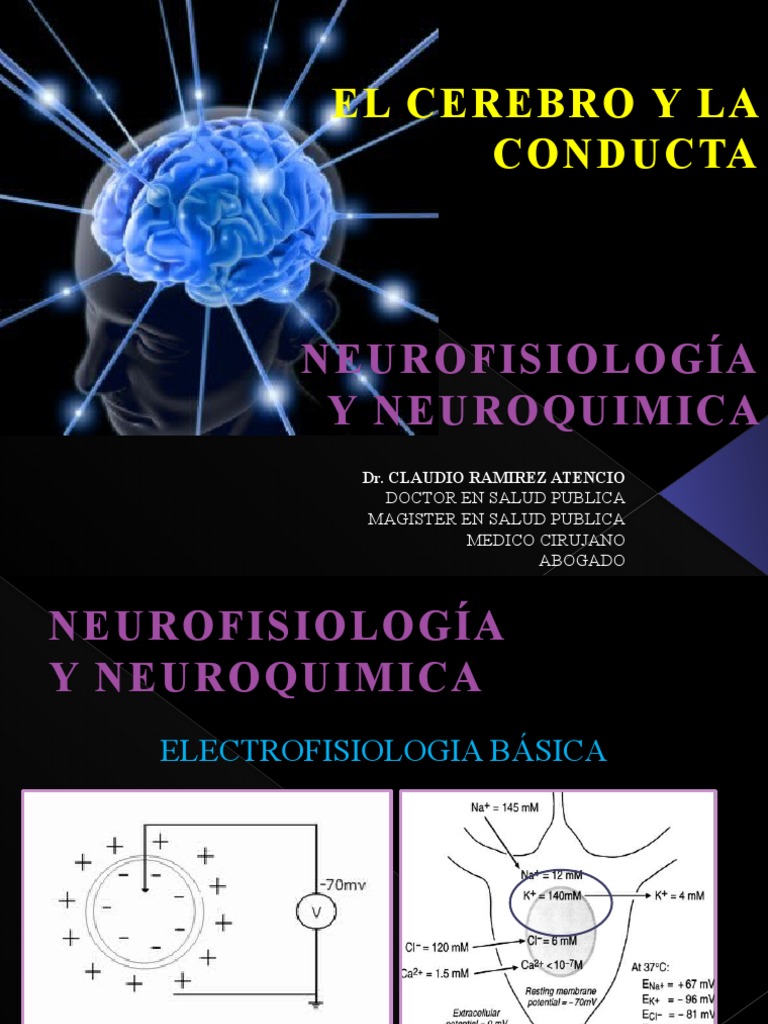 El Cerebro y La Conducta | PDF | Serotonina | Dopamina
