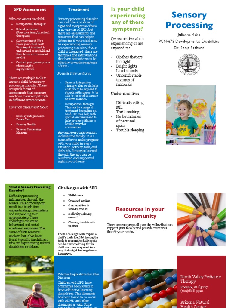 SPD Assessment and Interventions Guide | PDF | Sensory Processing ...