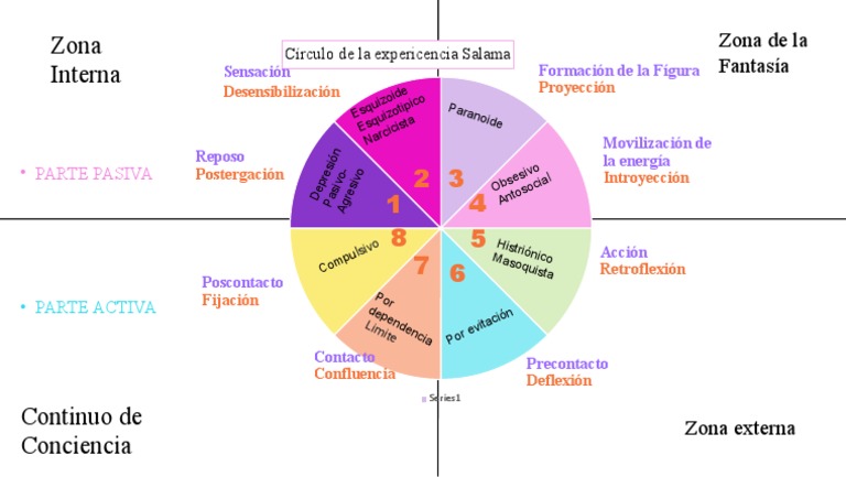 Ciclo de La Experiencia | PDF