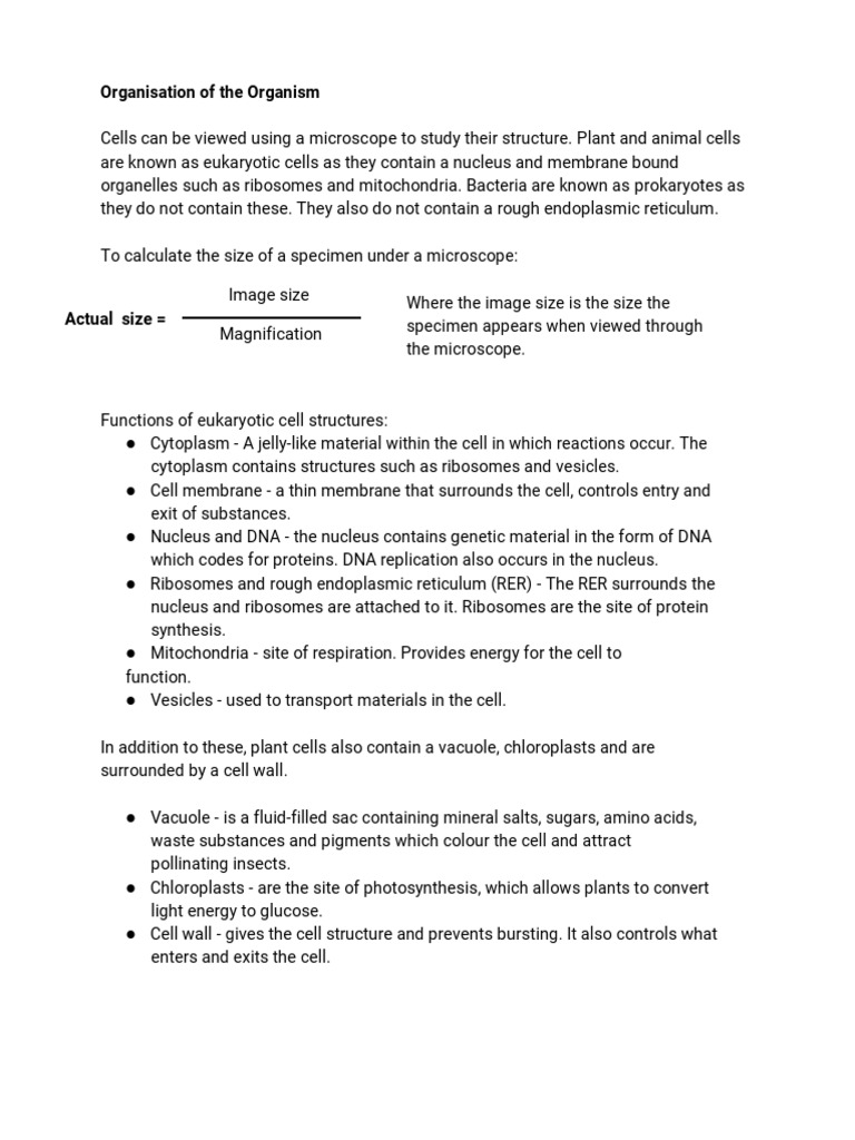 Organisation of The Organism | PDF | Cell (Biology) | Ribosome