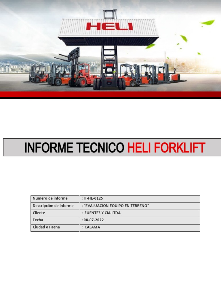 Informe Técnico Grúa CPCD30-W10G | PDF