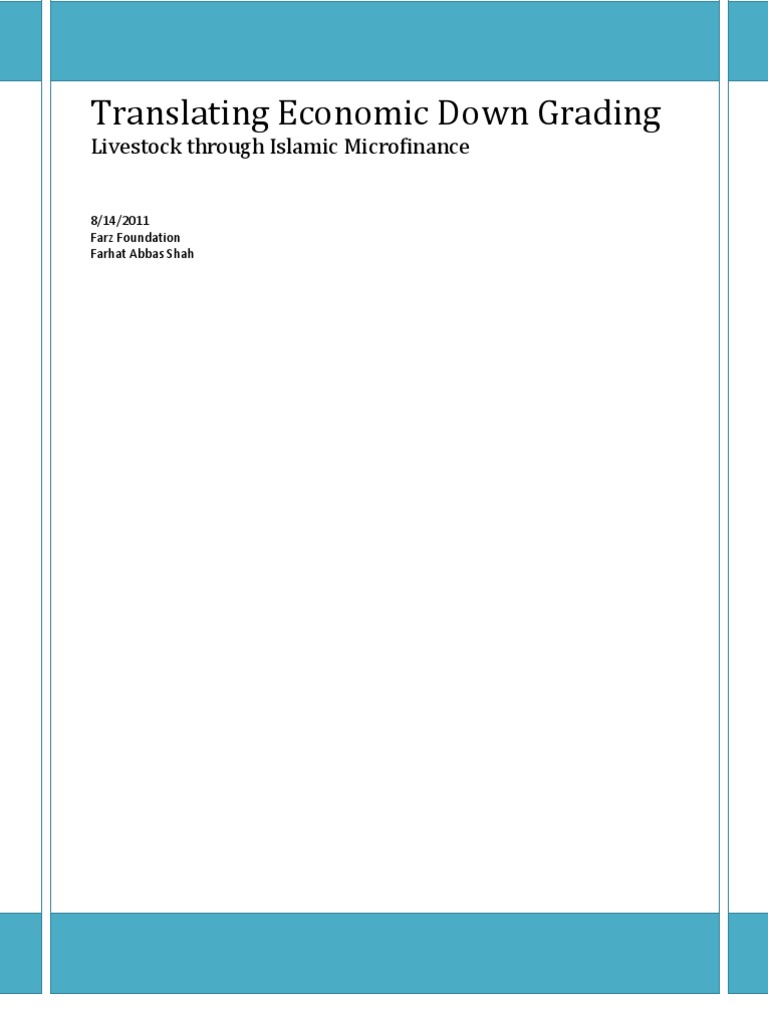 Translating Economic Down Grading | PDF