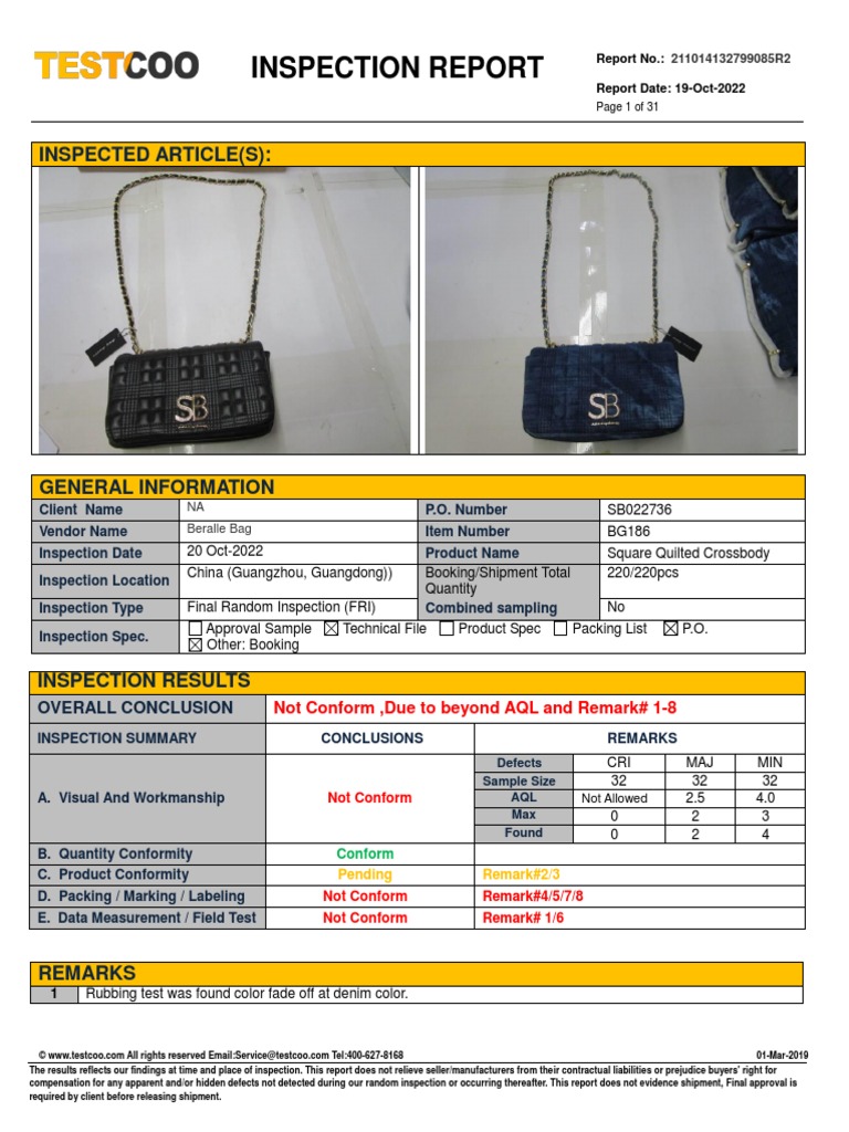 Testcoo FRI Sample Report | PDF | Legal Liability