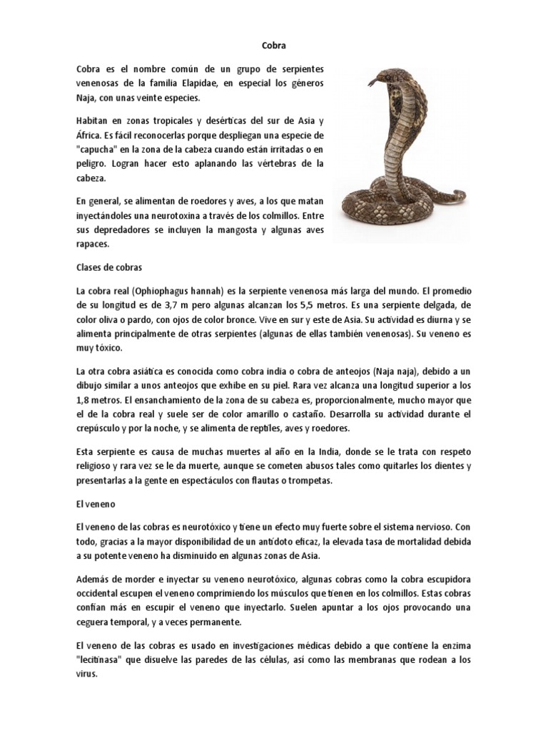 Cobra | PDF | Squamata | Serpiente